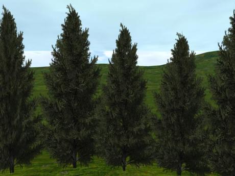 Second Life Marketplace - Colorado Spruce Cluster of Eight (One of my ...