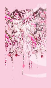 Second Life Marketplace - Sakura and plum blossom with Chinese bleeding ...