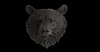 Second Life Marketplace - Black resin bear-head full perms texture