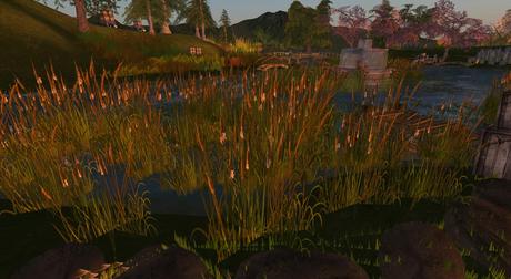 Second Life Marketplace - -A'G- Bullrush Patches Small Medium Large