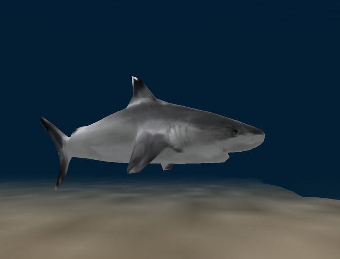 Second Life Marketplace - SHARK wandering reef shark ( GREY ) V2