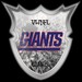 Second Life Marketplace - VWNFL GIANTS BOXED BEACHTOWL