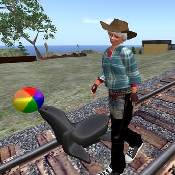 Second Life Marketplace - Wingsong Seal Companion Box