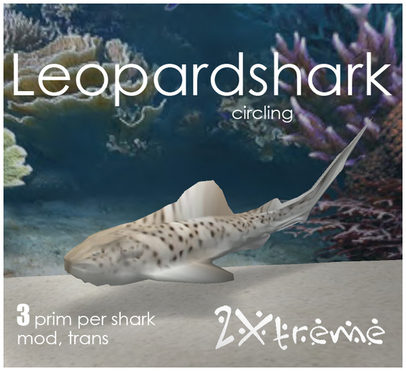 Second Life Marketplace - :: 2Xtreme :: leopardshark trans