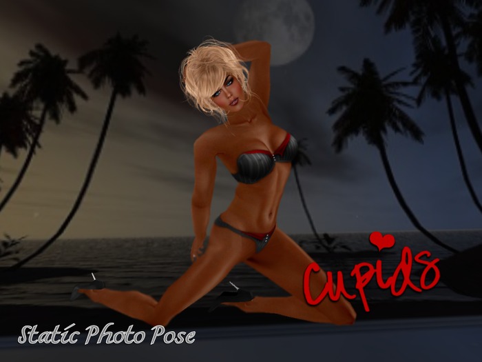 Second Life Marketplace Sexy Pose 2