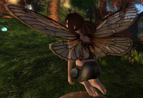Second Life Marketplace - Pixie Wings Demo by Everbloom Avatars
