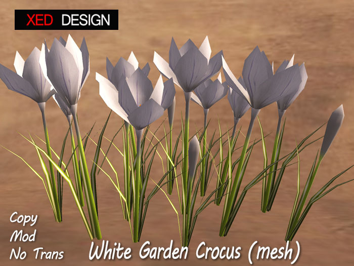 Second Life Marketplace - XD White Garden Crocus (mesh)