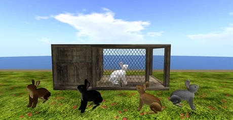Second Life Marketplace - RABBIT HUTCH/CAGE & FIVE RABBITS