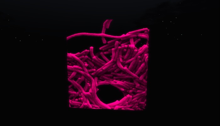Second Life Marketplace - strange alpha 25.03.13.A sculpted plane prim ...