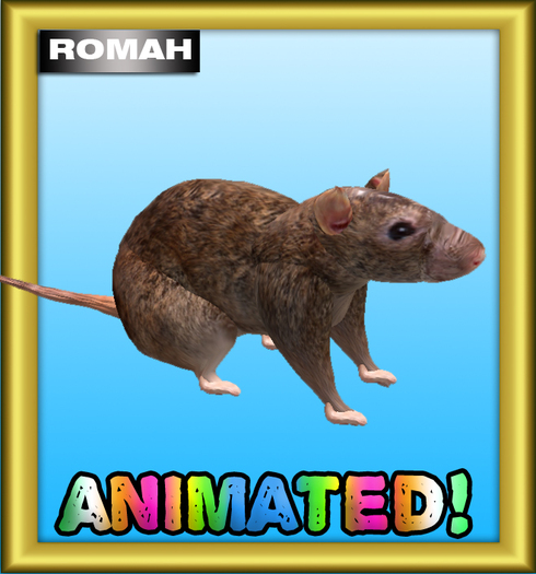 Second Life Marketplace - **R** Sculpted Rat - Animated