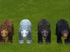 Second Life Marketplace - Aedifex Bear Statues LOW POLY FULL PERMS WITH ...