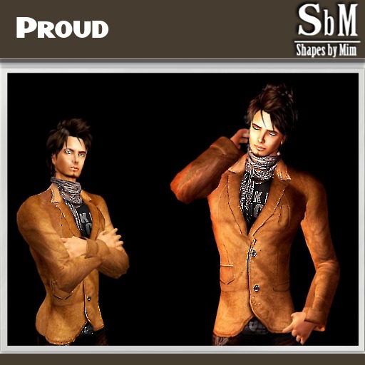 Second Life Marketplace - Eyebrows shape for male - Proud Eyebrows ...