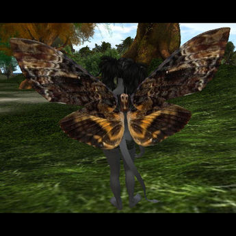 Second Life Marketplace - Death's Head Sylph Wings by Everbloom Avatars ...