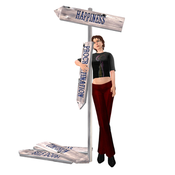 Second Life Marketplace - :+:SS:+: Which Way? - Pose Prop
