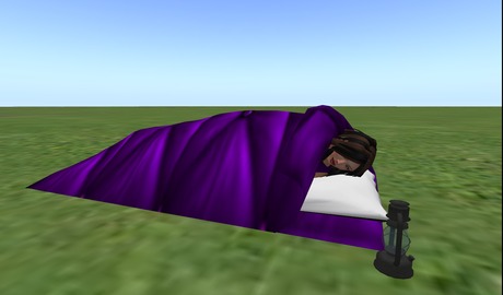 Second Life Marketplace - **MD**Sleepover Sleepingbags(boxed)
