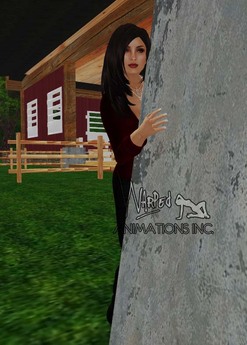 Second Life Marketplace - Hide & Seek