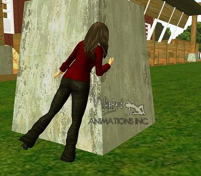 Second Life Marketplace - Hide & Seek