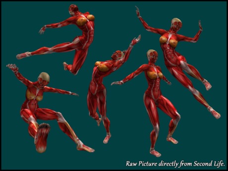 Second Life Marketplace - Flayed Body