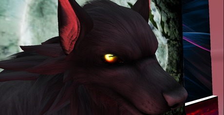 Second Life Marketplace - **Demon Lycan Eyes