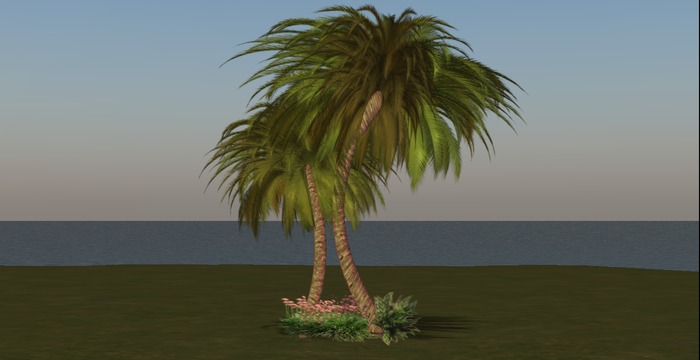 Second Life Marketplace - PALM - TWO PALM TREES - BOX