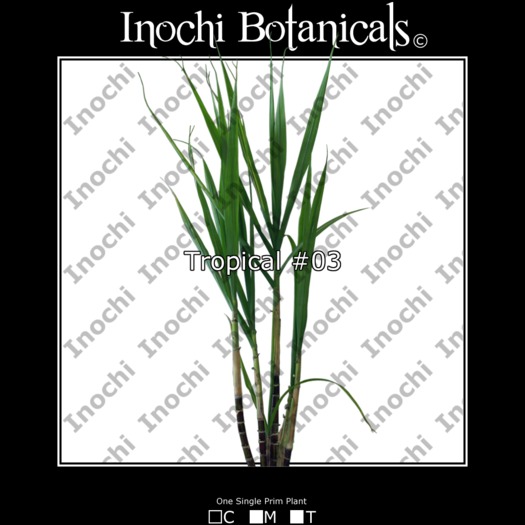 Second Life Marketplace - Inochi Botanicals - Tropical 03