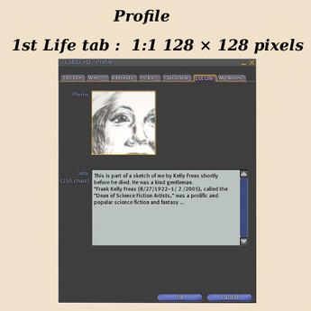 Second Life Marketplace - Aspect Ratios for Windows in Second Life