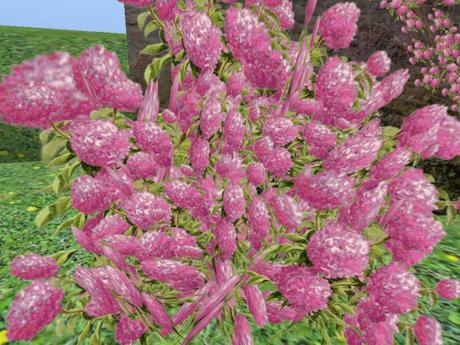 Second Life Marketplace - Hydrangea Bush Pink (One of our many ...