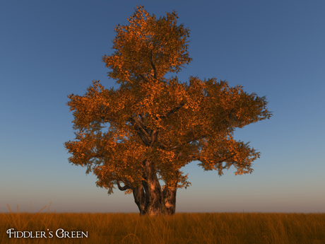 Second Life Marketplace - -FG- Big Lime Tree (18m high 30m wide, TRANS)