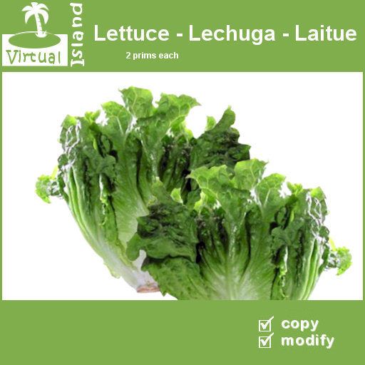 Second Life Marketplace - (VI) Lettuce - Lechuga - Laitue copy mod no trans