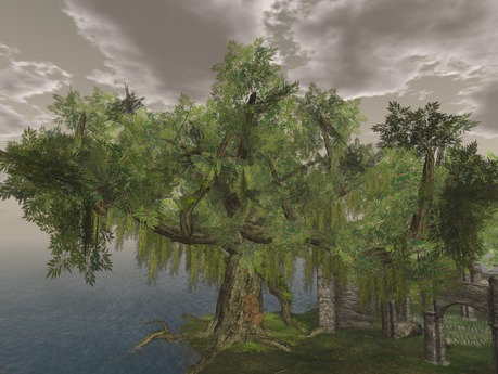 Second Life Marketplace - ~*SR*~ Ancient Aralia Swamp Tree Summer m/t