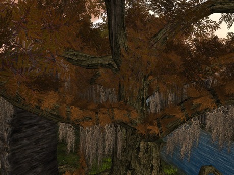 Second Life Marketplace - ~*SR*~ Ancient Aralia Swamp Tree Autumn 02 c/m