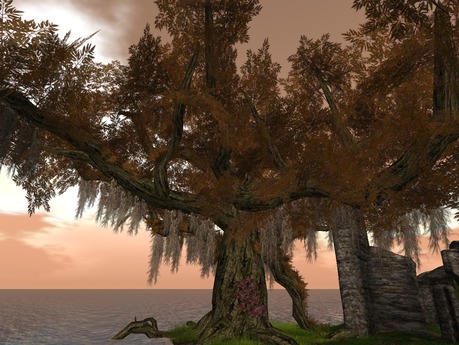 Second Life Marketplace - ~*SR*~ Ancient Aralia Swamp Tree Autumn 02 c/m