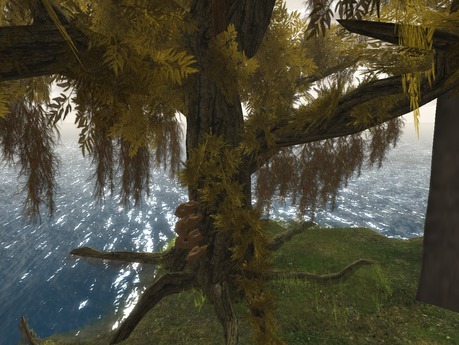 Second Life Marketplace - ~*SR*~ Ancient Aralia Swamp Tree Autumn 01 m/t
