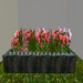 Second Life Marketplace - RG FLOWER BOX 2 X 5 DARK BRICK W RED GREEN 5 ...