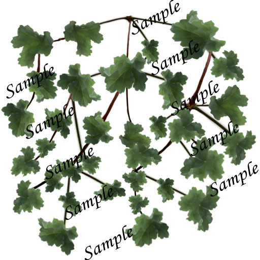 Second Life Marketplace - Leaves IVY alpha texture (5)