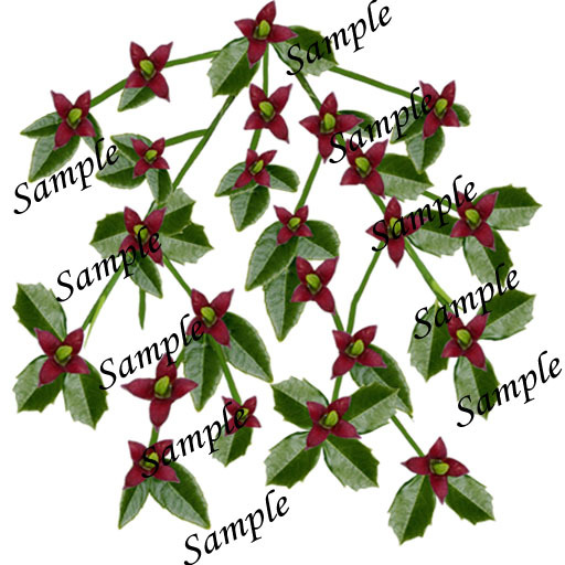 Second Life Marketplace - Leaves IVY alpha texture (1)