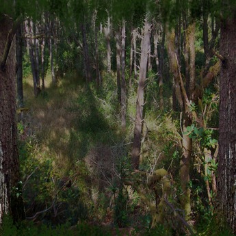 Second Life Marketplace - Enchanted Forest Privacy Screen