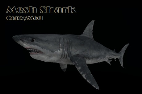 Second Life Marketplace - Mesh Shark Boxed