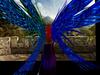 Second Life Marketplace - blue dragon random scuplted delux wings box