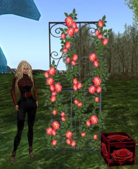 Second Life Marketplace - Rose Tressels Box