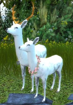 Second Life Marketplace - Mythical White Stag and Doe