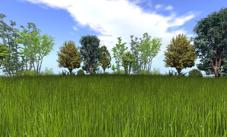Second Life Marketplace - T-Spot Textures - Nature Privacy Screen 1 ...