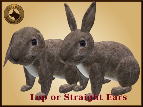 Second Life Marketplace - VKC® Rabbit Wild -Artificially Intelligent ...
