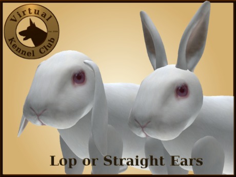 Second Life Marketplace - VKC® Rabbit Broken Red -Artificially ...