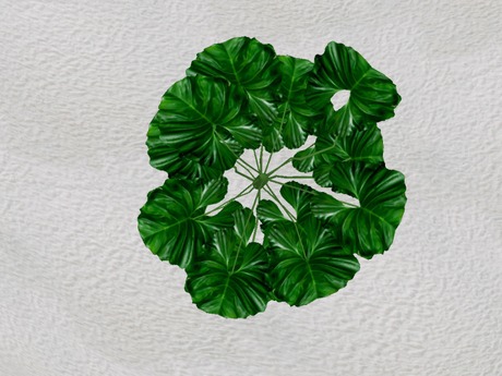 Second Life Marketplace - GZModels3D Broadleaf Plant Set DEMO, The Next ...