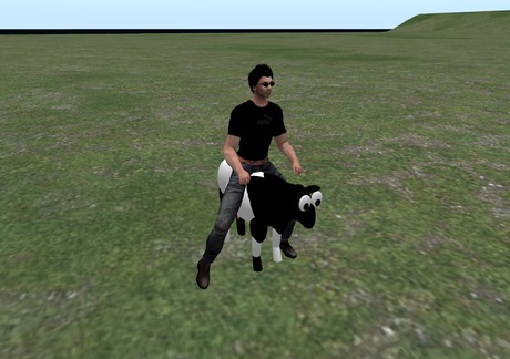 Second Life Marketplace - Ride A Cow!