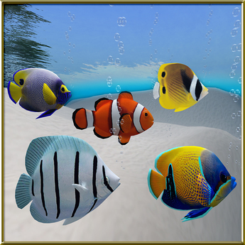 Second Life Marketplace - FREE SWIMMING FISH -SUPER PACK! (5 fishes ...
