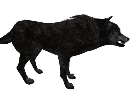 Second Life Marketplace - Mesh wolf 11 prims