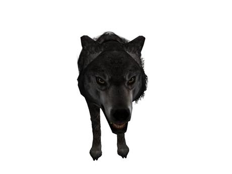 Second Life Marketplace - Mesh wolf 11 prims