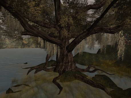 Second Life Marketplace - ~*SR*~ Ancient Gothic Swamp Tree m/t Box